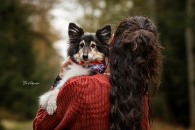 Hunde